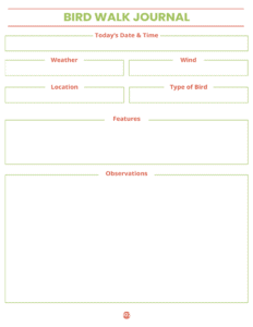 Birding Notebook - A Companion to Audubon Birding Adventures For Kids