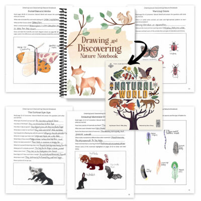 Drawing and Discovering Nature Notebook for Curiositree: Nature World