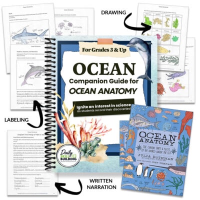 Nature Anatomy Notebook Companion Series - Daily Skill Building