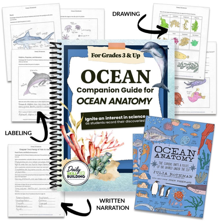 Nature Anatomy Notebook Companion Series - Daily Skill Building