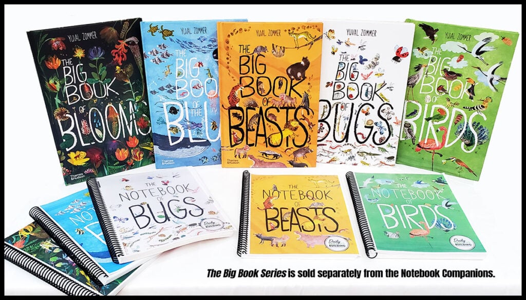 The Big Book Series Notebook Companions Set
