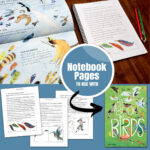 The Big Book Series Notebook Companions™ - Daily Skill Building