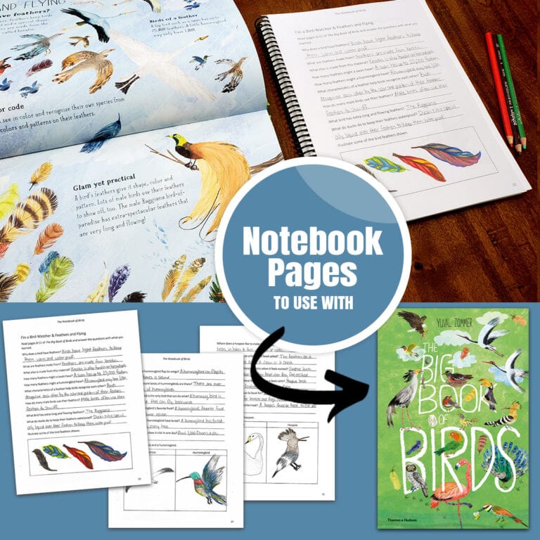 The Big Book Series Notebook Companions™ - Daily Skill Building