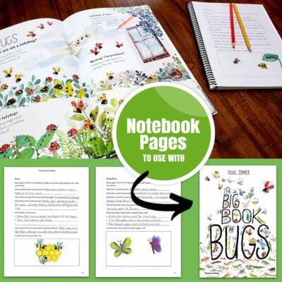 The Big Book Series Notebook Companions™ - Daily Skill Building