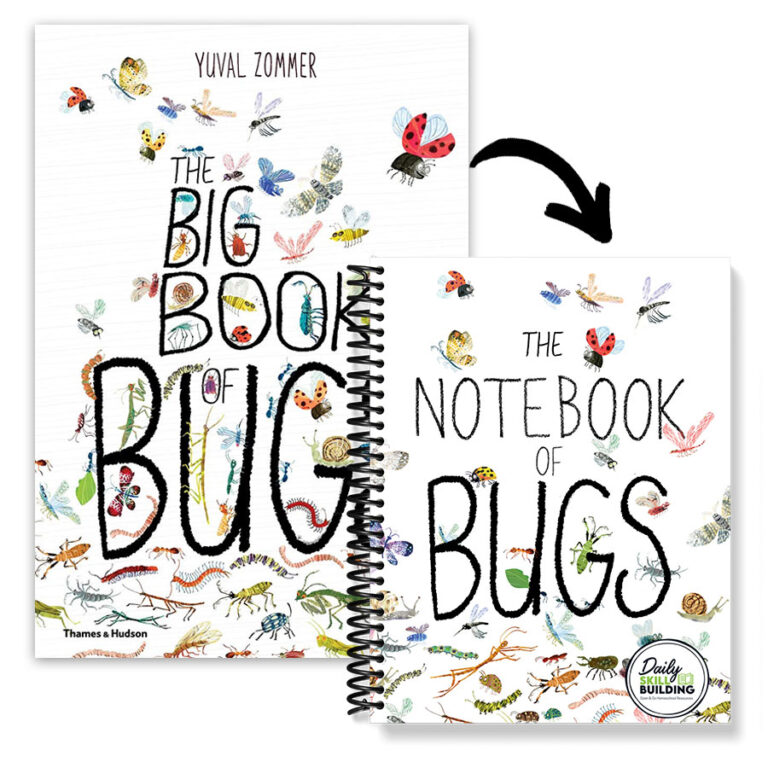 The Big Book Series Notebook Companions Set