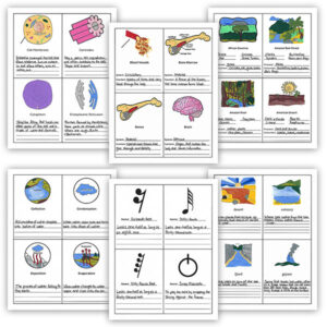Genius Fact Cards - Over 1,000 Fact Cards | 5 Different Subjects!