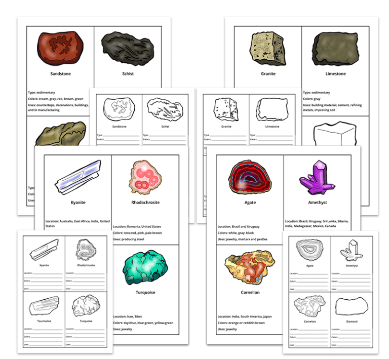 Genius Fact Cards - Over 1,000 Fact Cards | 5 Different Subjects!