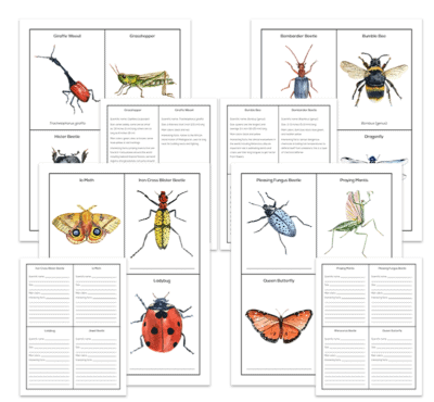 Genius Fact Cards - Over 1,000 Fact Cards | 5 Different Subjects!