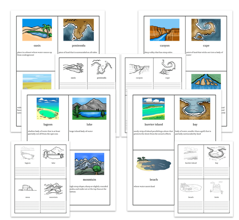 Genius Fact Cards - Over 1,000 Fact Cards | 5 Different Subjects!