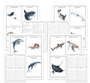 Genius Fact Cards - Over 1,000 Fact Cards | 5 Different Subjects!
