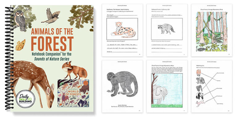 Notebook Companion™ Set for The Sounds of Nature Series