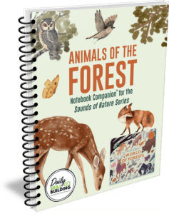 Animals of The Forest - A Notebook Companion™