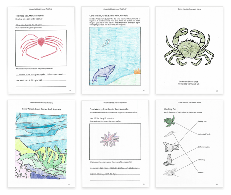 Ocean Habitats of the World - A Notebook Companion™