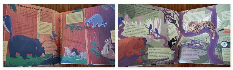 Animals of The Forest - A Notebook Companion™