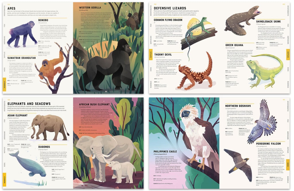 Exploring the Animal Kingdom - A Notebook Companion™