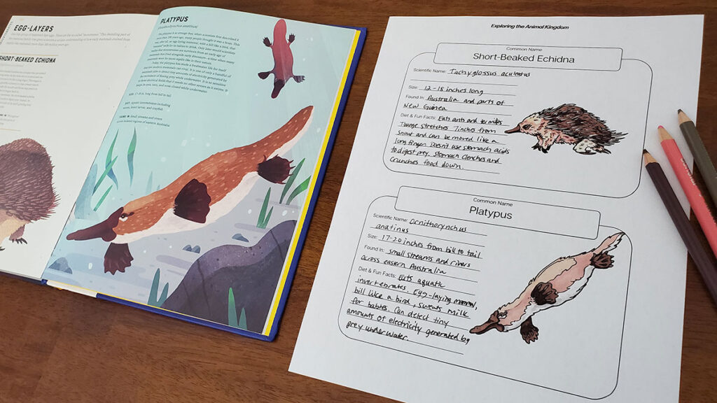 Exploring the Animal Kingdom - A Notebook Companion™