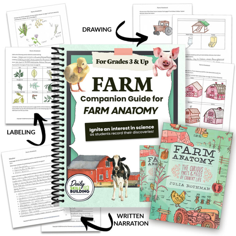 Nature Anatomy Notebook Companion Series - Daily Skill Building