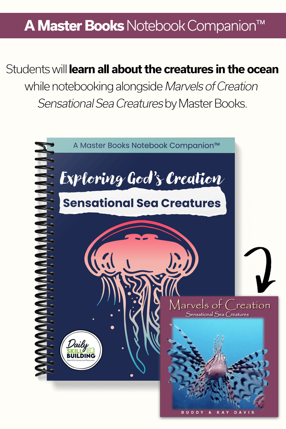 Exploring God's Creation: Sensational Sea Creatures