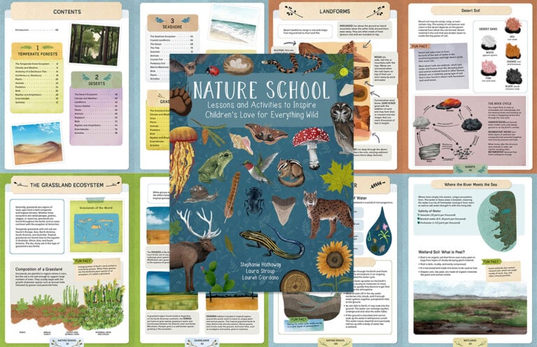 Science Through Nature Notebook Companion™ for Nature School
