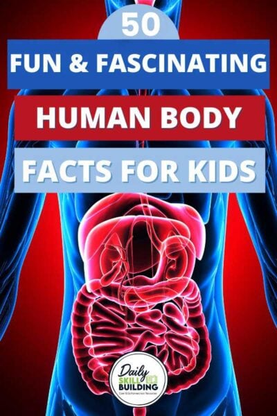 50 Fun & Fascinating Human Body Facts for Kids