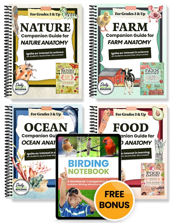 Nature Anatomy Notebook Companion Series - Daily Skill Building