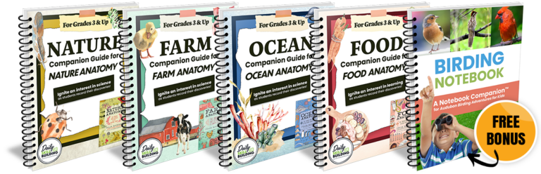 Nature Anatomy Notebook Companion Series - Daily Skill Building