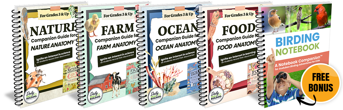 Nature Anatomy Notebook Companion Series - Daily Skill Building