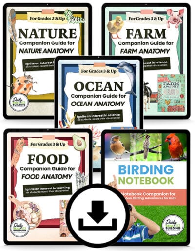 Nature Anatomy Notebook Companion Series - Daily Skill Building