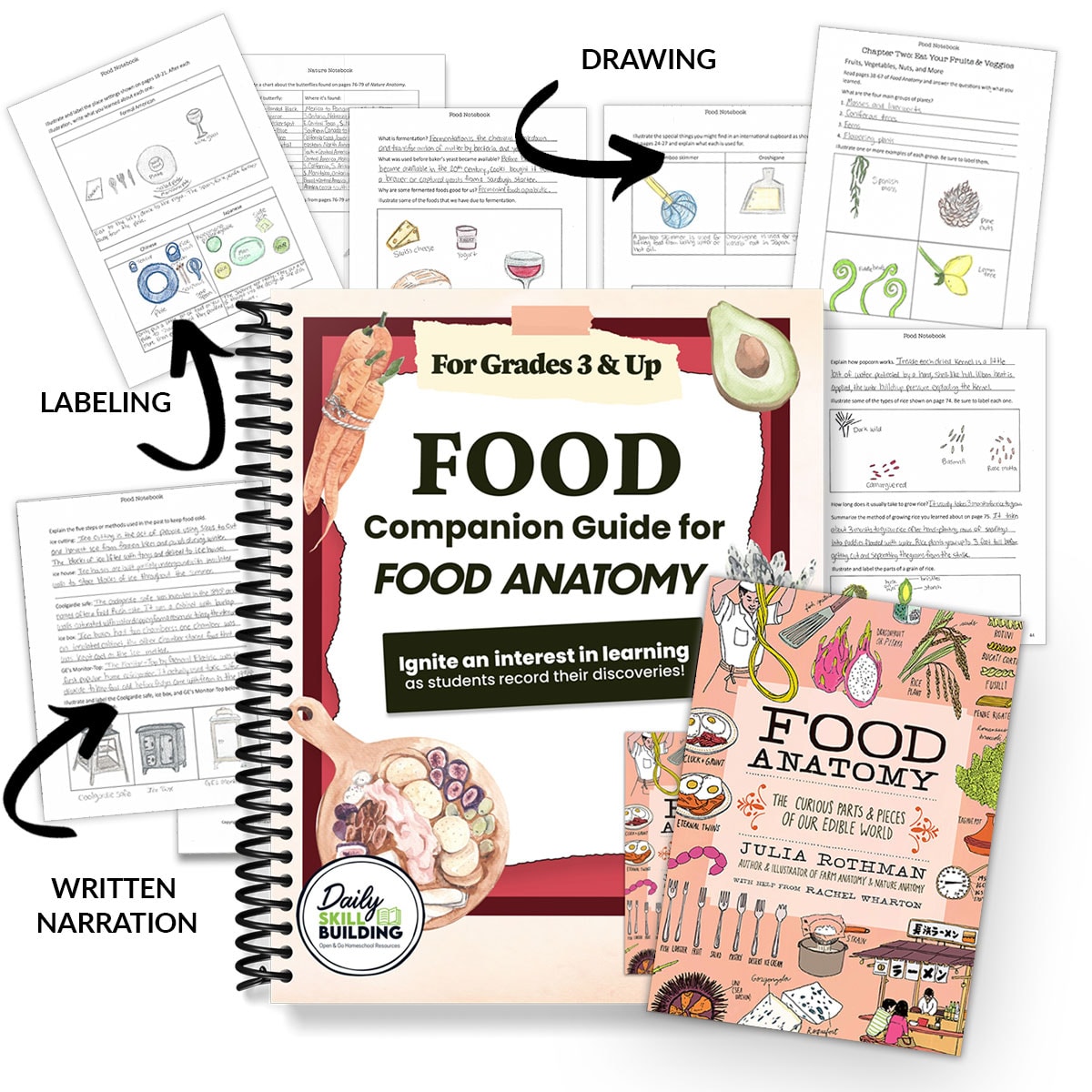 Nature Anatomy Notebook Companion Series - Daily Skill Building