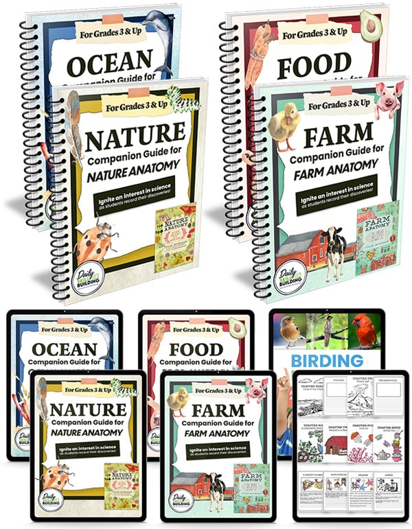 Nature Anatomy Notebook Companion Series - Daily Skill Building