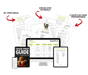 Food Prep Guide: A Plan for Money-Saving, Self-Sustaining Abundance in ...