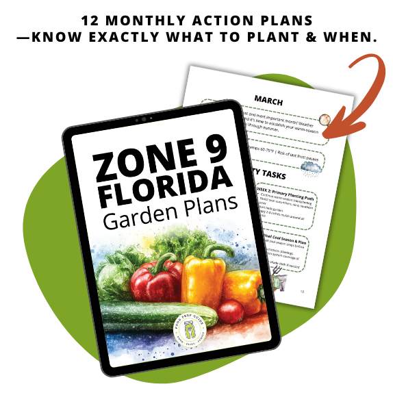 Zone 9 Florida Garden Plans - Daily Skill Building